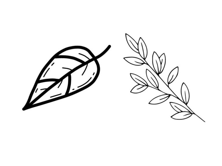 Moldes de Folhas para Imprimir - 40 modelos incríveis