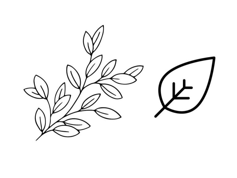 Moldes de Folhas para Imprimir - 40 modelos incríveis