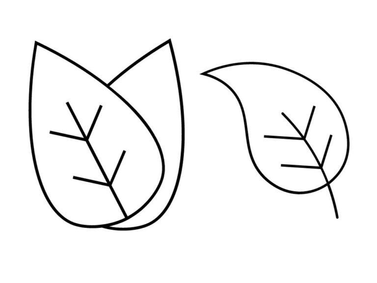Moldes de Folhas para Imprimir - 40 modelos incríveis